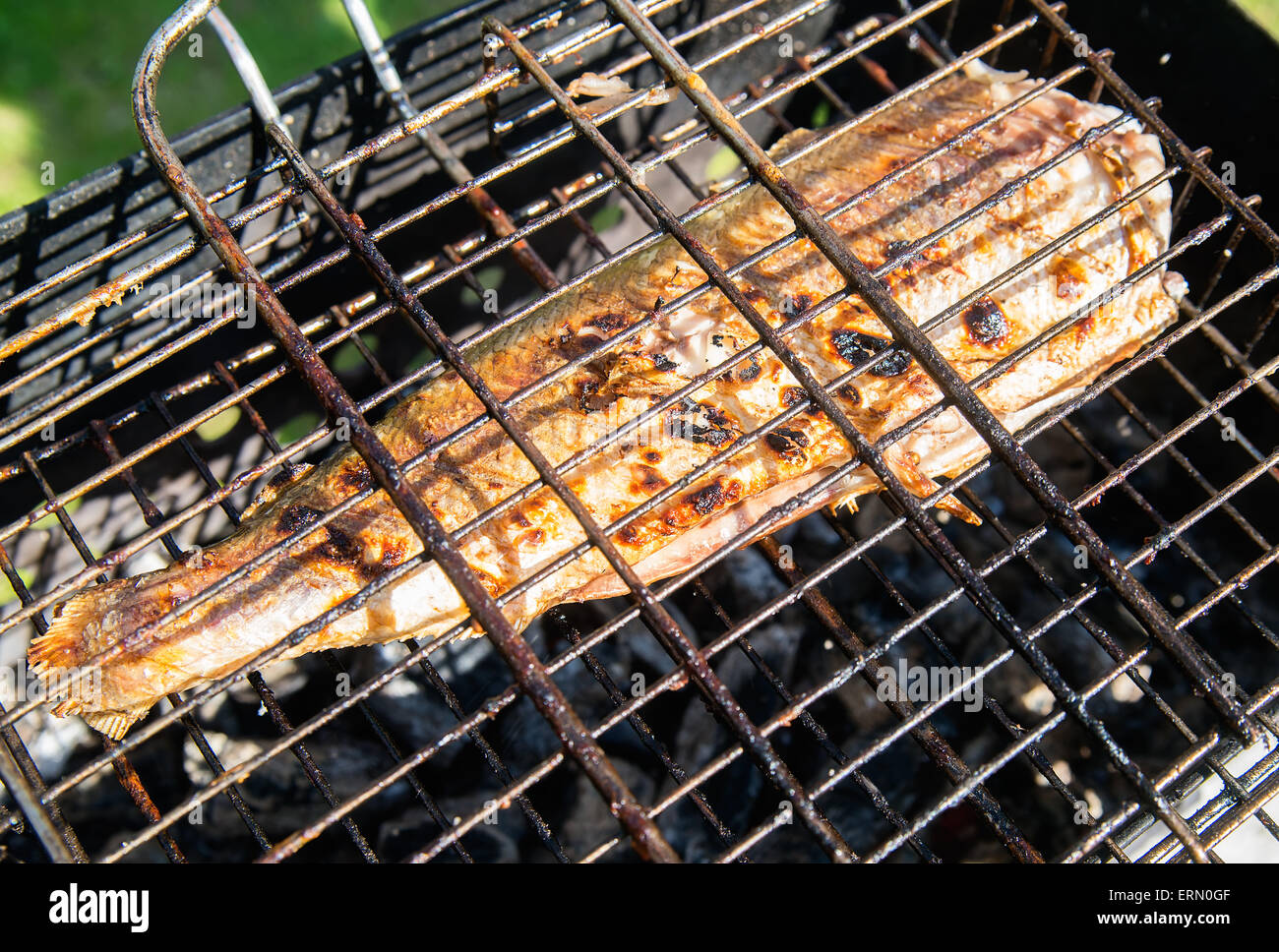 Grilled fish on the barbecue grill, selective focus, top view Stock ...