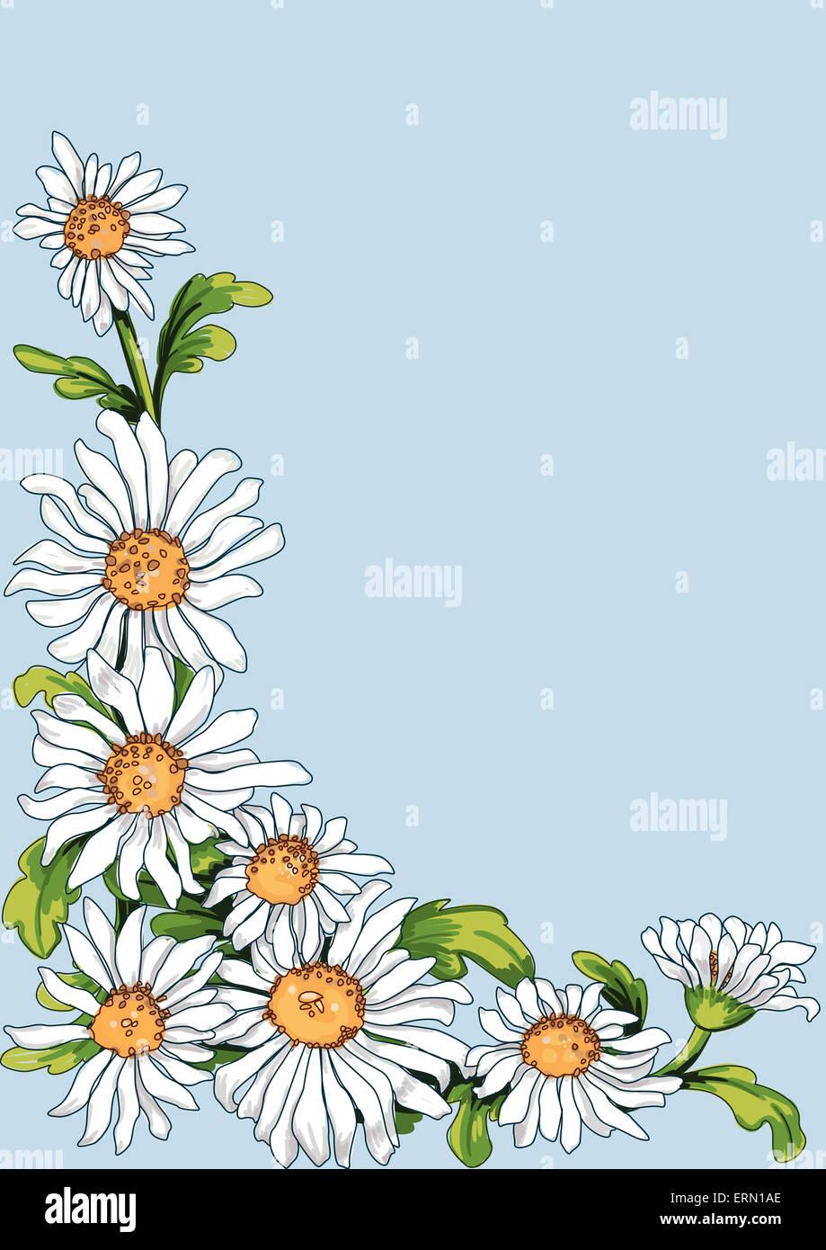 Daisy Flower Border Clip Art Free