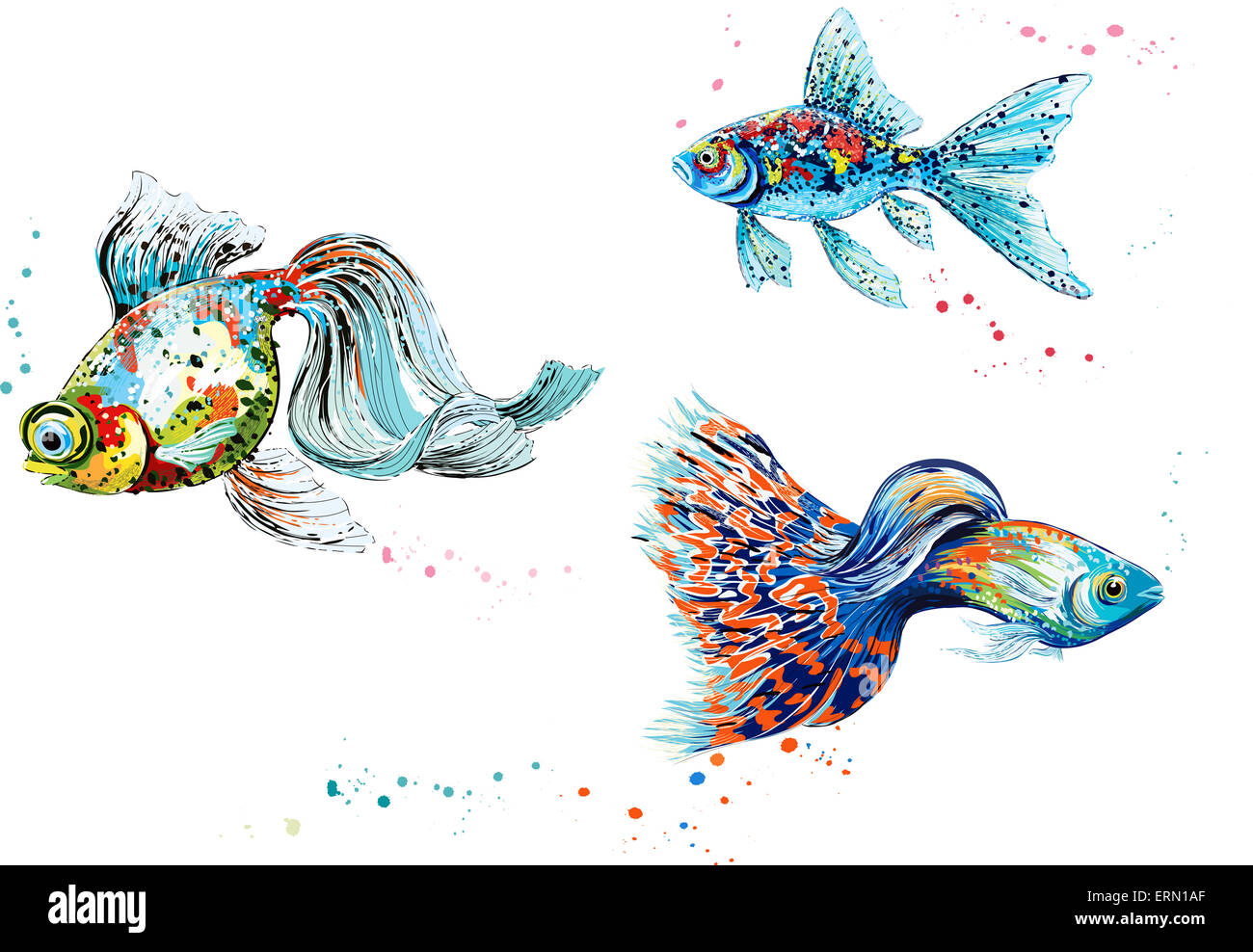 Different colored fish swimming hi-res stock photography and images - Alamy