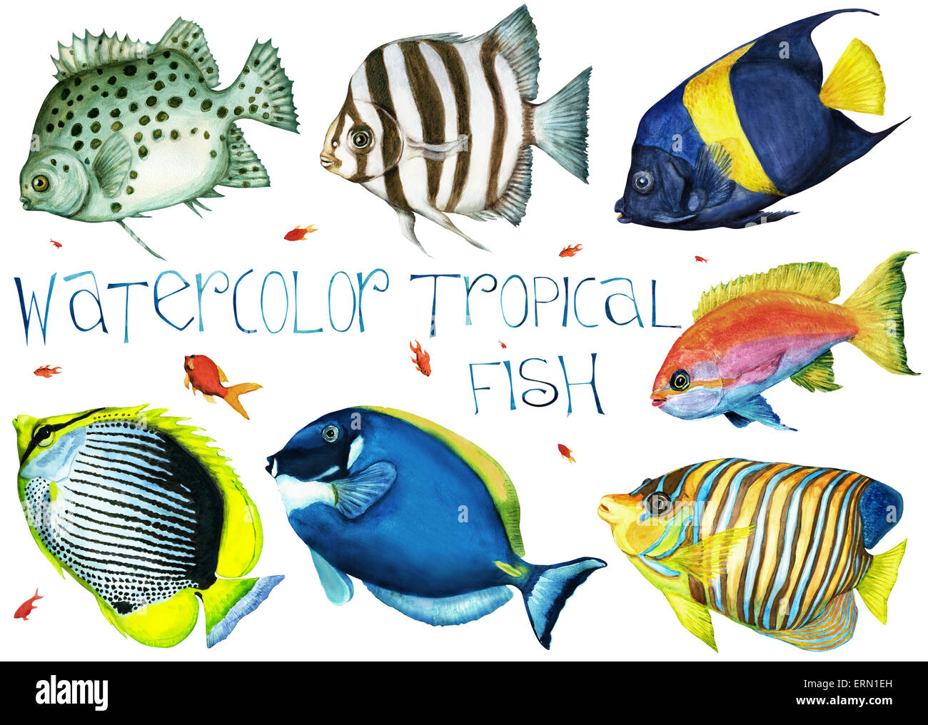 Sea animals watercolor hi-res stock photography and images - Alamy