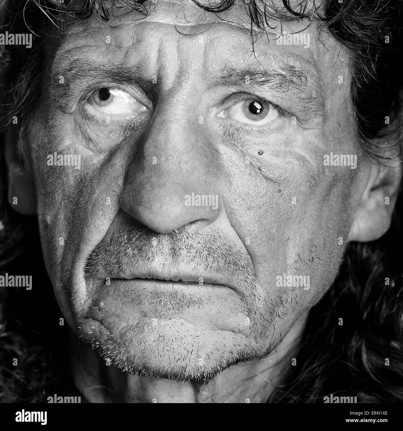 studio b&w portrait of homeless man on white background Stock Photo - Alamy