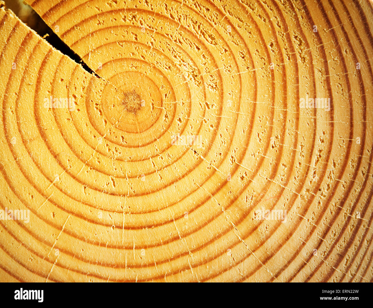 Abstract wooden texture Stock Photo - Alamy