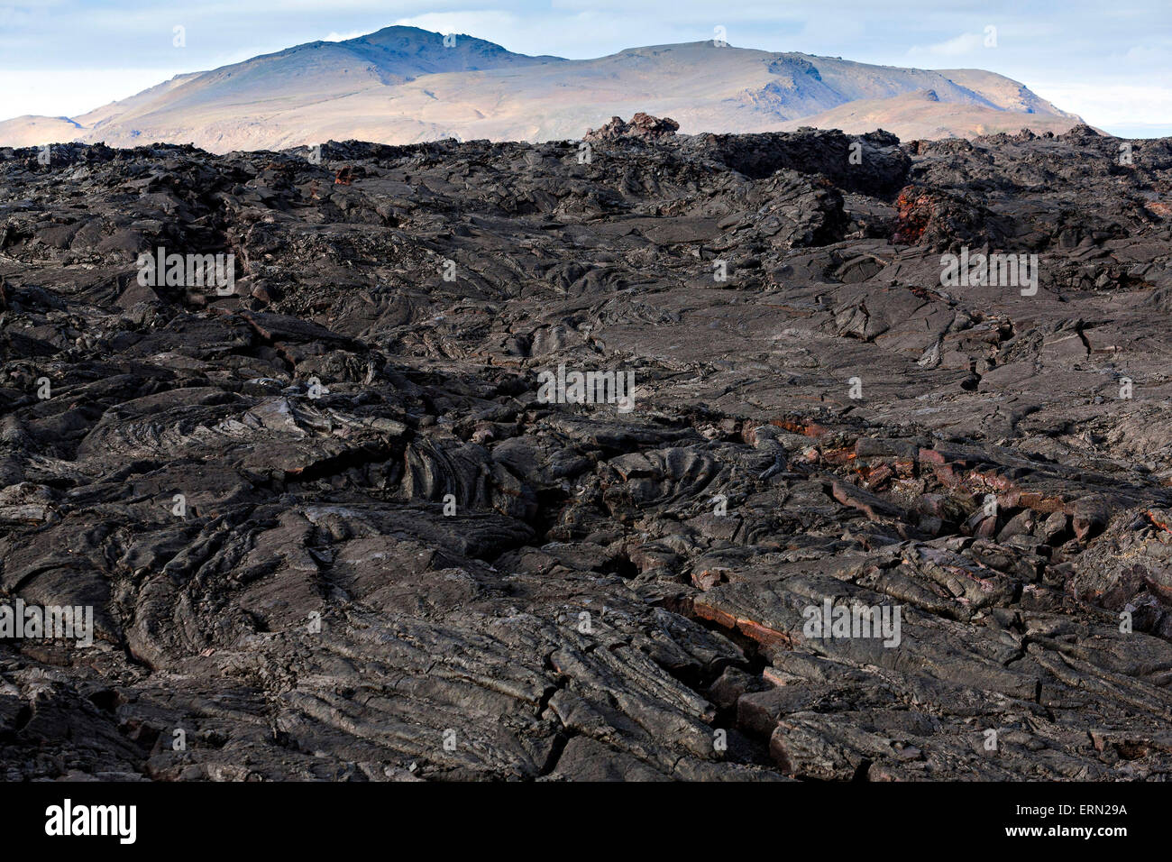Iceland cold black dry lava landscape hi-res stock photography and ...