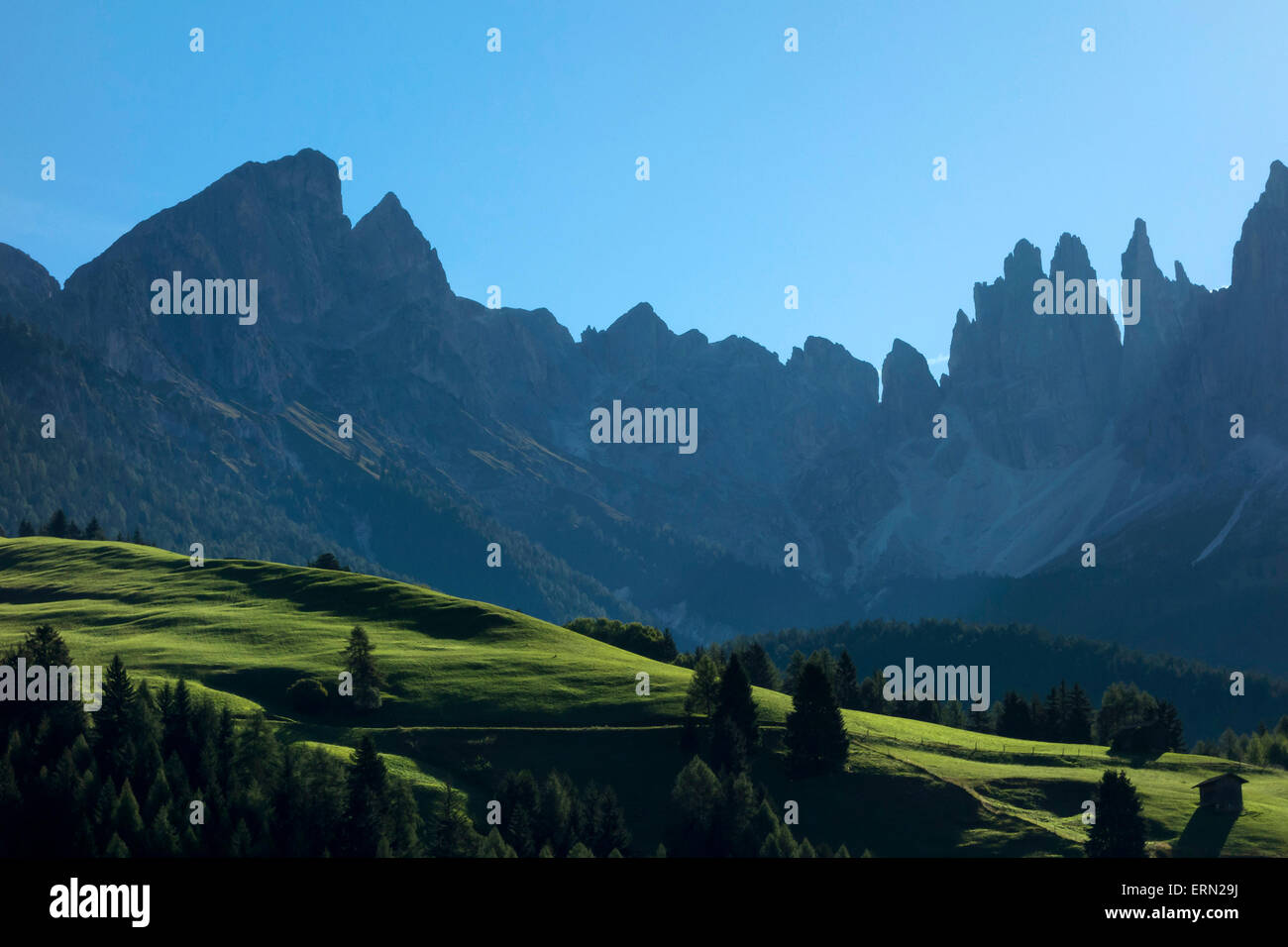 Mountain Range with green fields in foreground,Tiers,Tires, Alto Adige ...