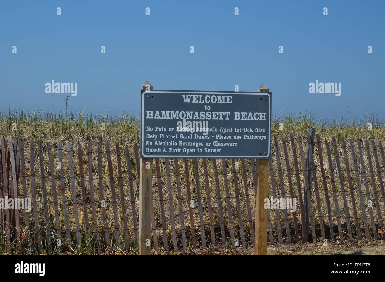 CT. state park Stock Photo - Alamy