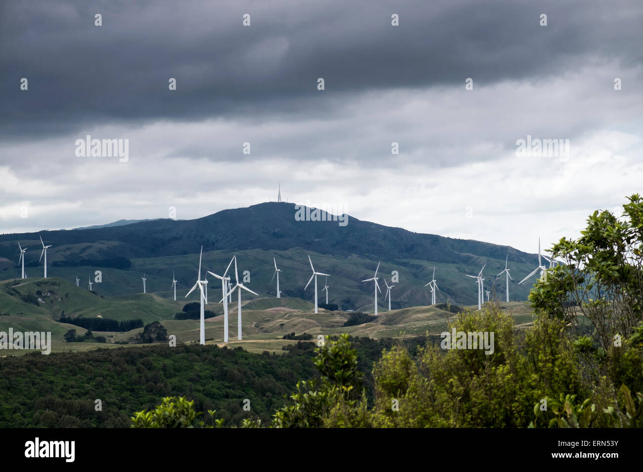 Turbines generating electricity at the Meridian Energy windfarm in Te ...