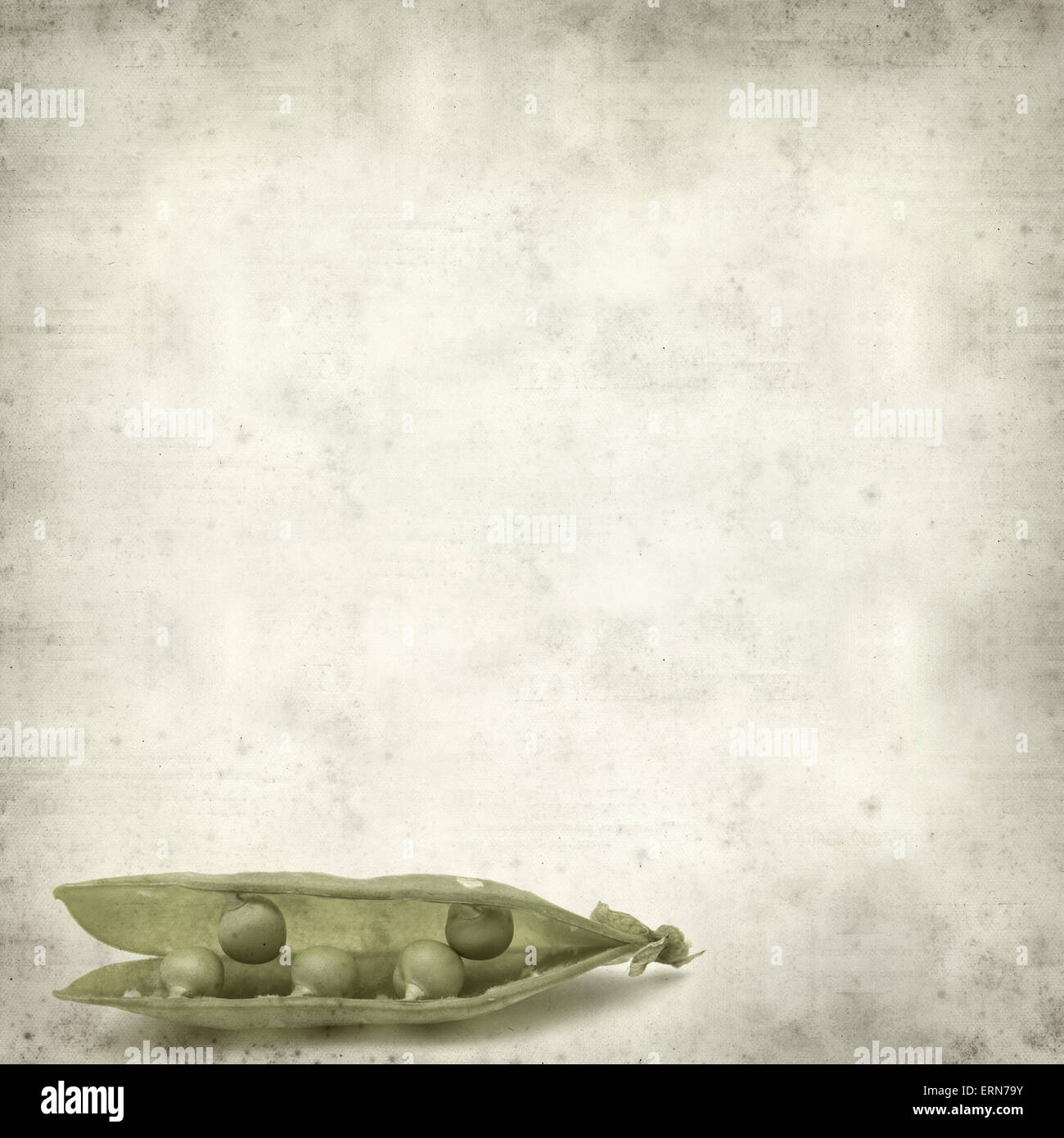 textured old paper background with open pea pod Stock Photo - Alamy