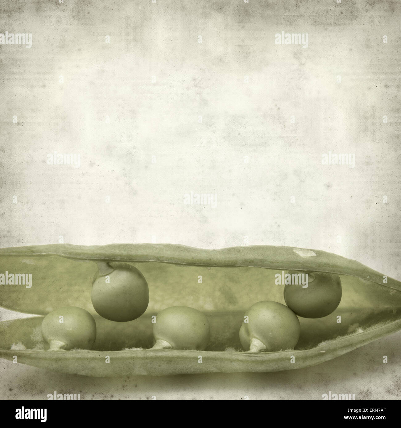 textured old paper background with open pea pod Stock Photo - Alamy