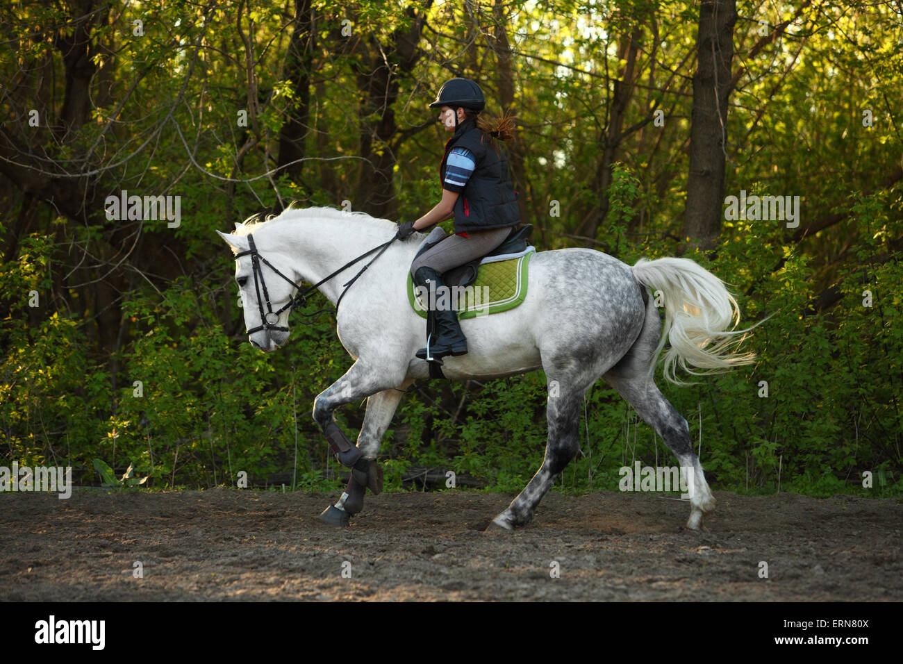 Girl horseback riding in the spring evening forest Stock Photo - Alamy