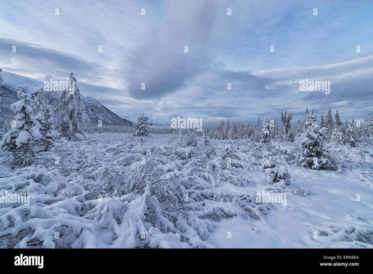 Fog Yukon Snow Stock Photos & Fog Yukon Snow Stock Images - Alamy