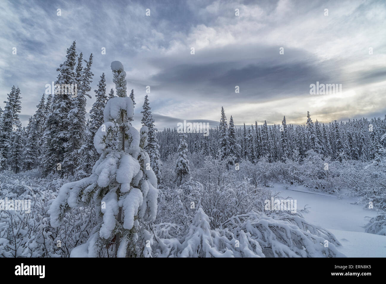 Fog Yukon Snow Stock Photos & Fog Yukon Snow Stock Images - Alamy