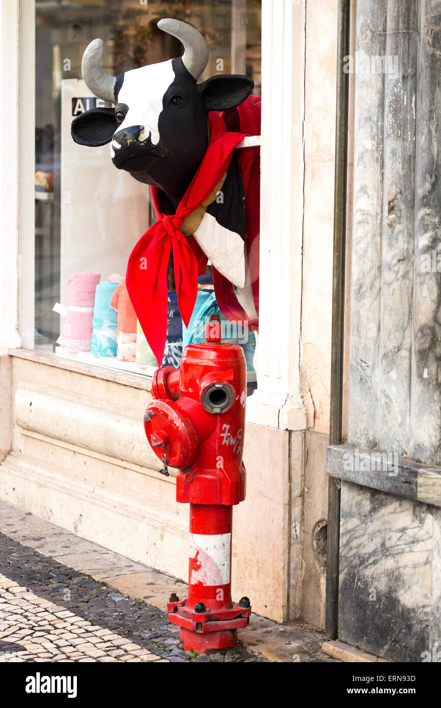 mannequin cow putting its head out of window. R. Augusta avenue ...