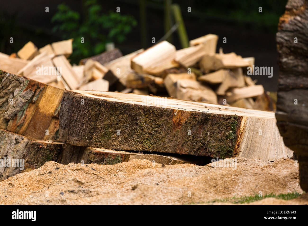 English woodlands timber hi-res stock photography and images - Alamy