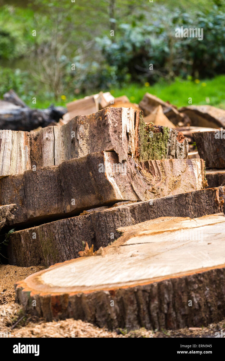 cut timber England Stock Photo - Alamy