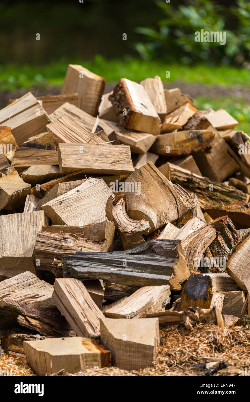 Felled cut wood timber Stock Photo - Alamy