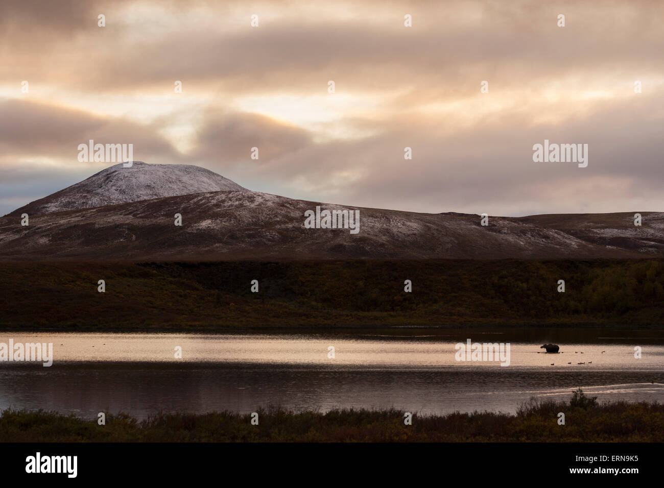 Moose lake canada hi-res stock photography and images - Alamy