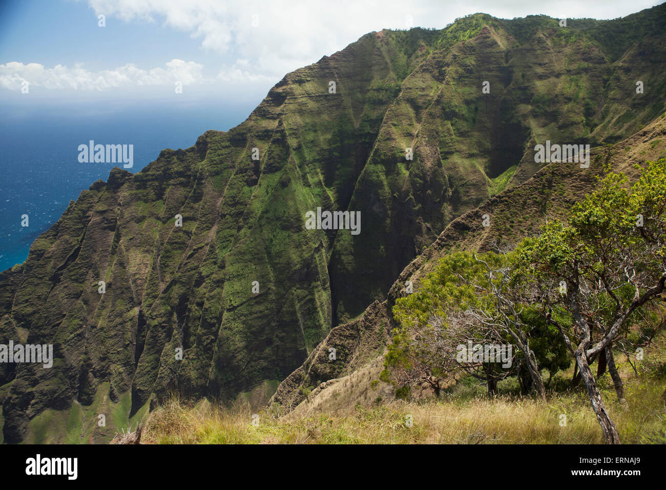 View of Honopu Valley along the Na Pali Coast from the Honopu Ridge ...