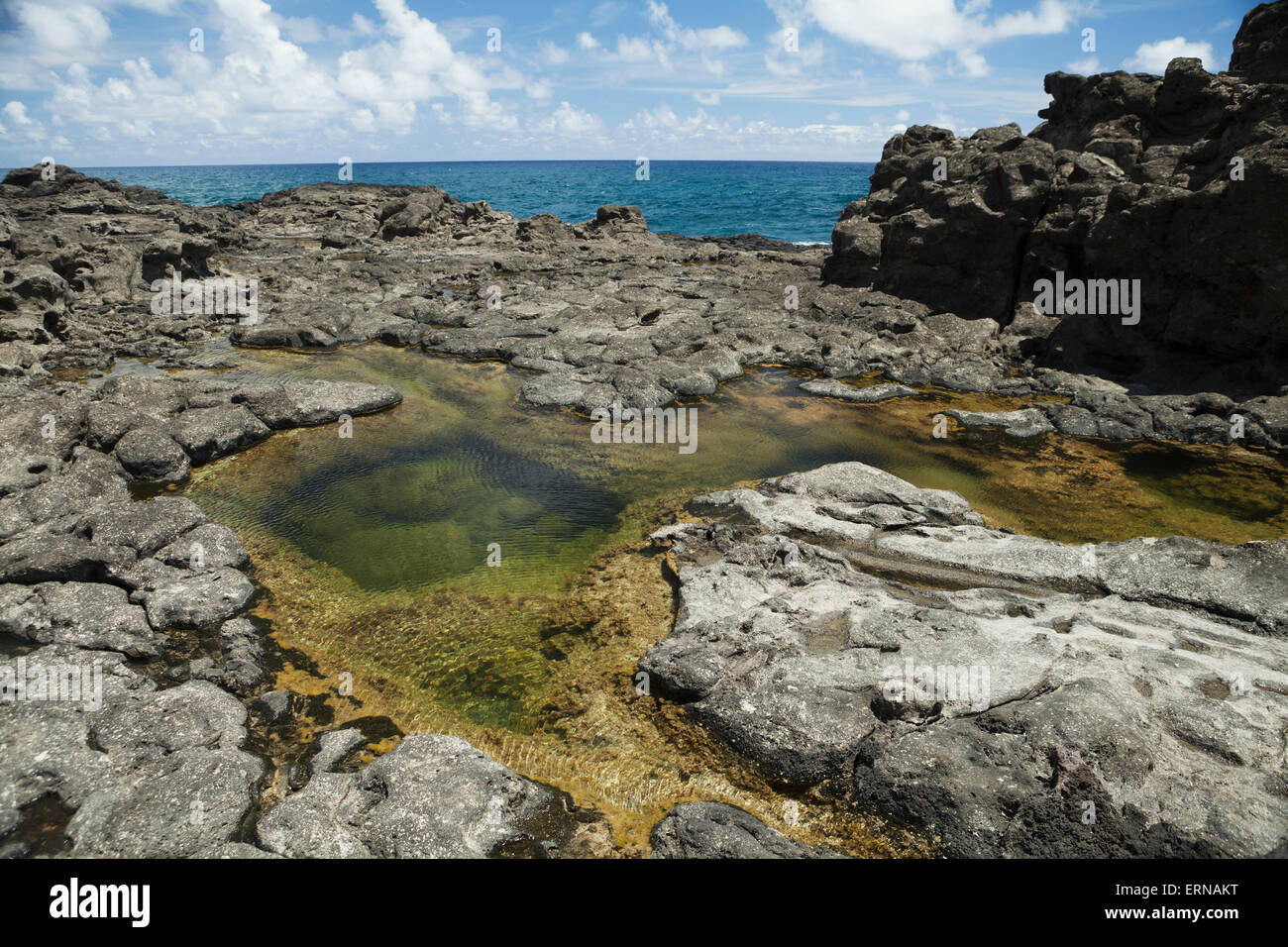 Tide pools at Makolea Point; Kauai, Hawaii, United States of America ...