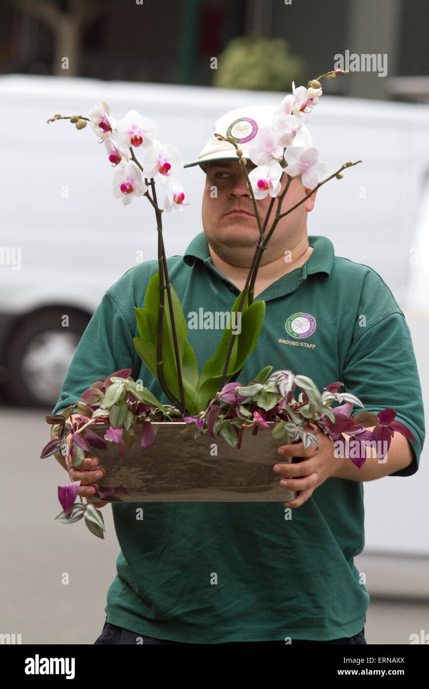 Wimbledon decorations hi-res stock photography and images - Alamy