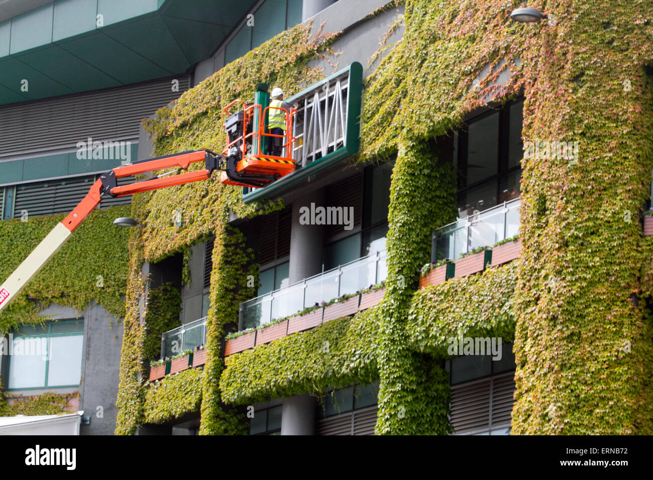 Wimbledon decorations hi-res stock photography and images - Alamy
