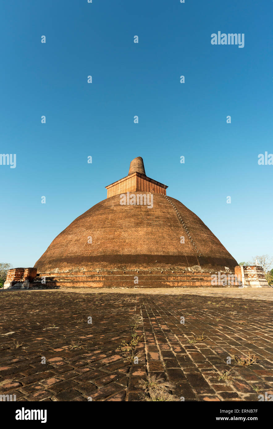 Jetavanarama Dagoba (Jetavanaramaya Stupa), Anuradhapura, Sri Lanka Stock Photo - Alamy