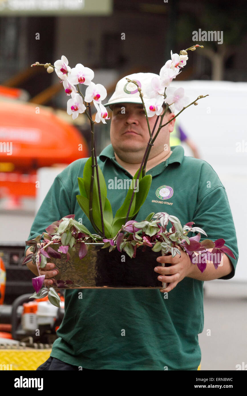 Wimbledon decorations hi-res stock photography and images - Alamy