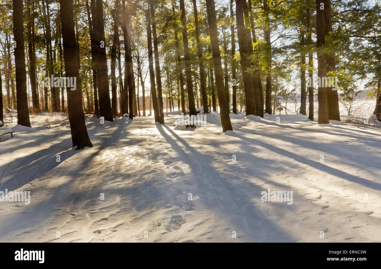 Crawl Tracks High Resolution Stock Photography and Images - Alamy
