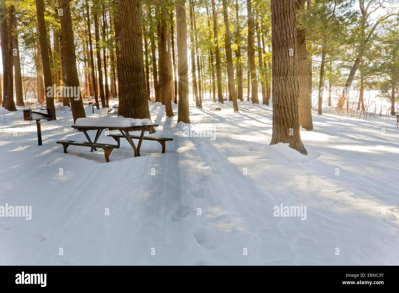 Crawl Tracks High Resolution Stock Photography and Images - Alamy