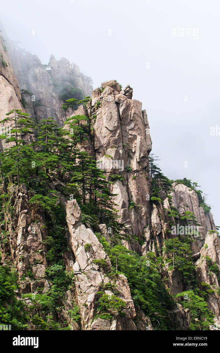 Granite peaks with pine trees in the North Sea Scenic area, Mount ...