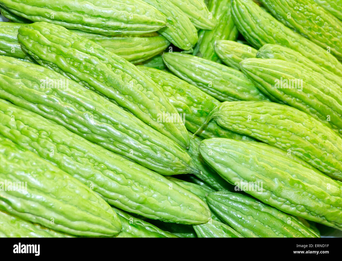 Bitter cucumber hi-res stock photography and images - Alamy