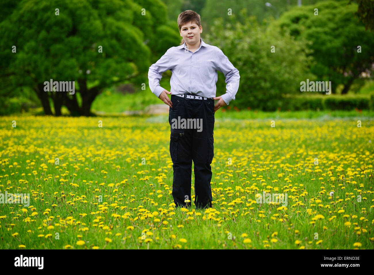 A teenager Boy in the spring park Stock Photo - Alamy