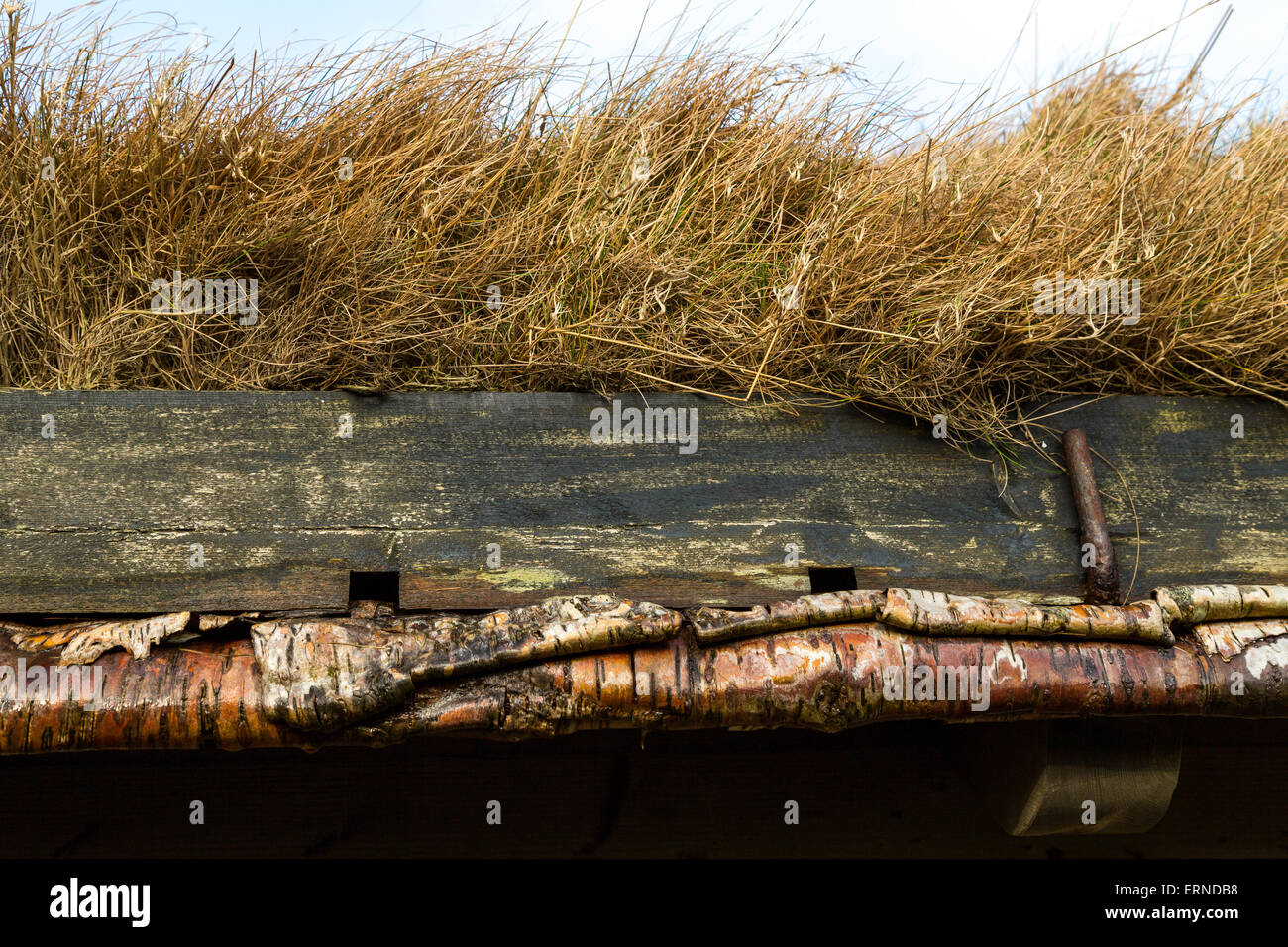 Building with grass roof hi-res stock photography and images - Alamy