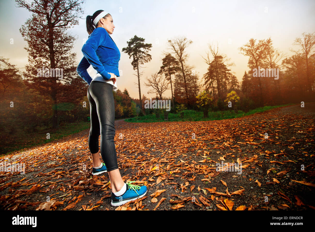 young woman running in the early evening autumn leaves Stock Photo - Alamy