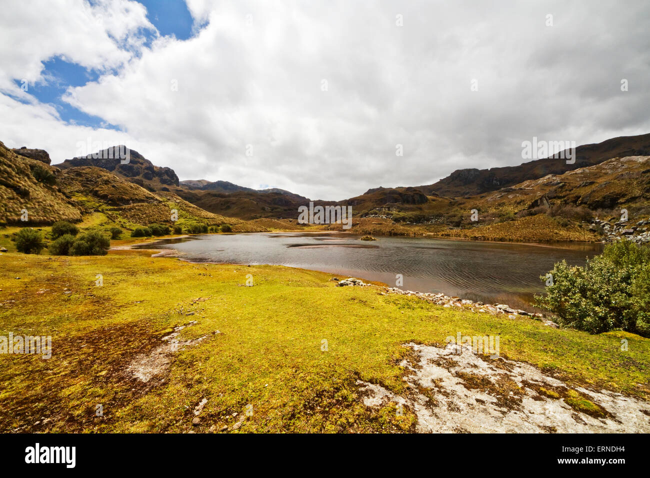 Illincocha lake, Cajas National Park, Azuay, Ecuador Stock Photo - Alamy