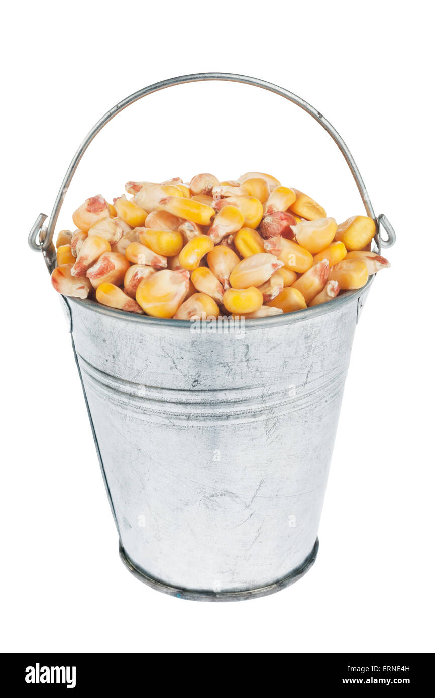 Bucket with corn, isolated on white background Stock Photo - Alamy