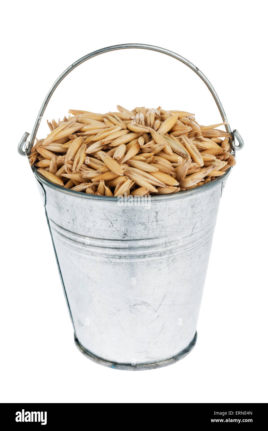 Bucket with oats, isolated on white background Stock Photo - Alamy