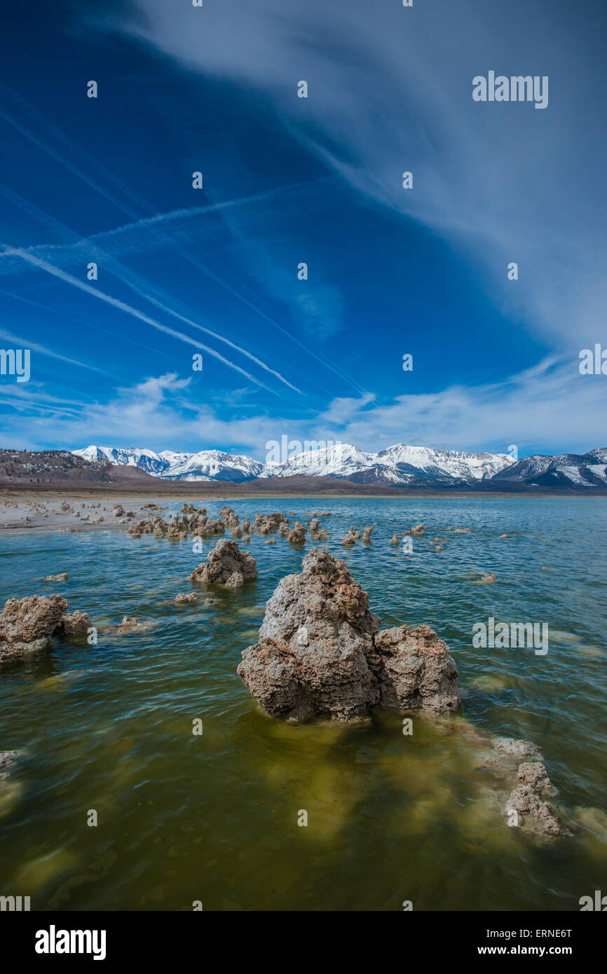 Calcified limestone formation hi-res stock photography and images - Alamy