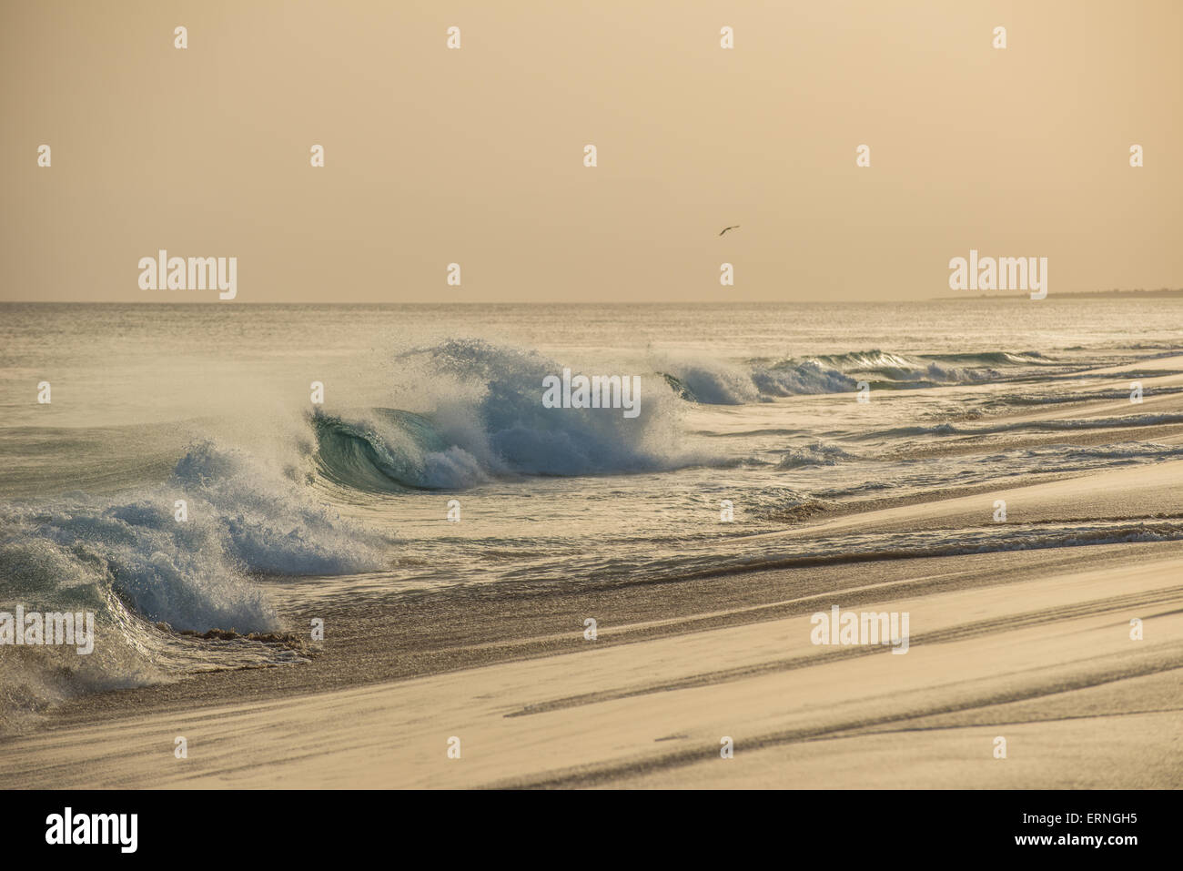 Beach Waves At Night