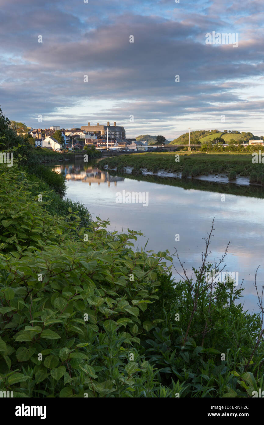 The town of Caerfyrddin / Carmarthen from the banks of the River Tywi ...