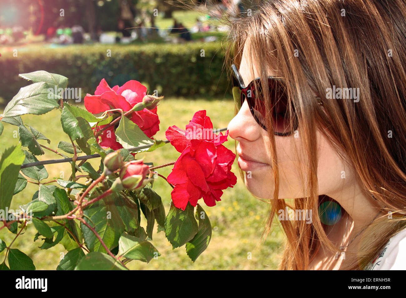 girl smell red roses Stock Photo - Alamy