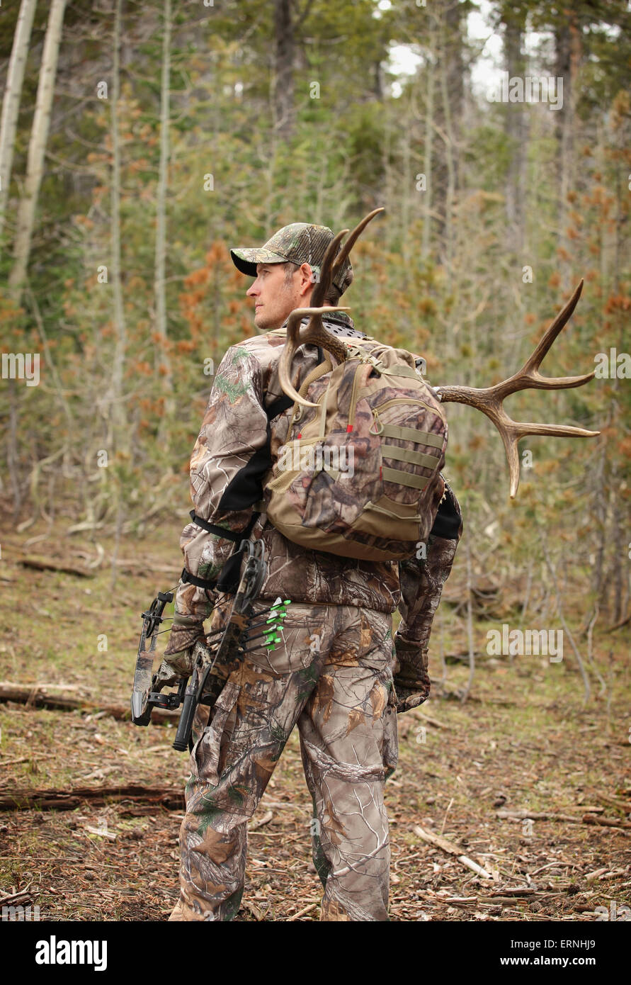 Bow hunting deer hi-res stock photography and images - Alamy