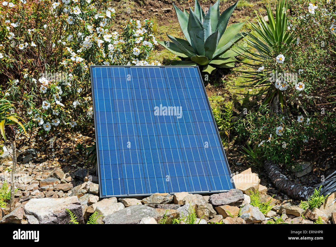 Solar panel efficiency hi-res stock photography and images - Alamy