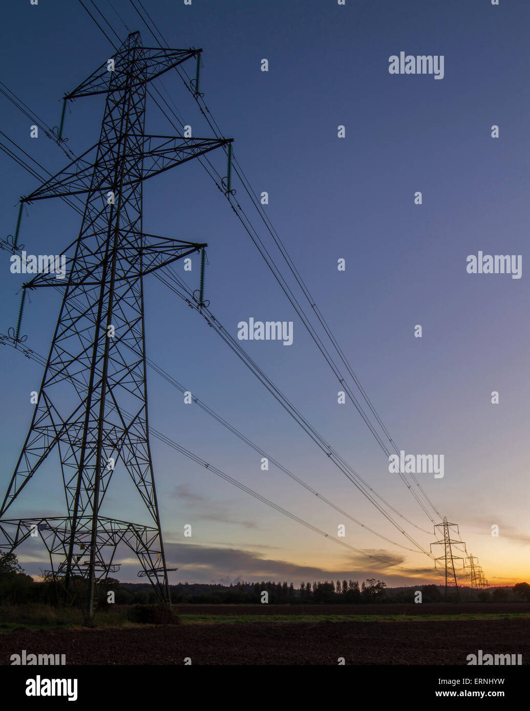 row of electric pylons in fields at sunset Stock Photo - Alamy