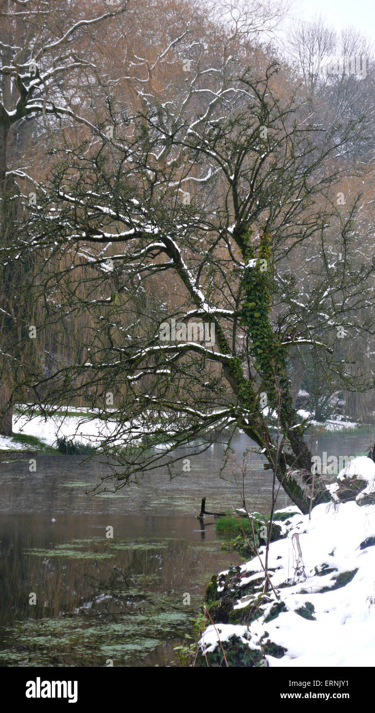snowy scene in the english countryside Stock Photo - Alamy