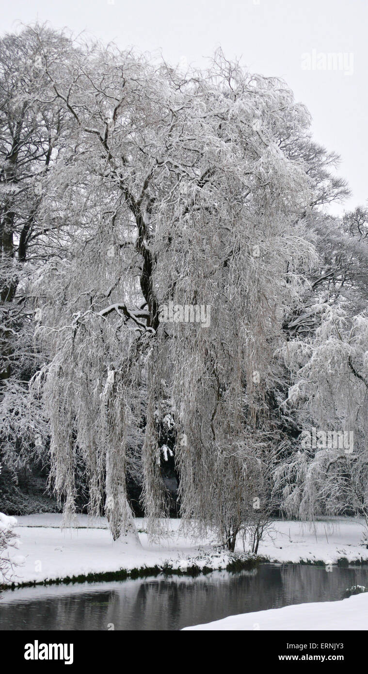snowy scene in the english countryside Stock Photo - Alamy