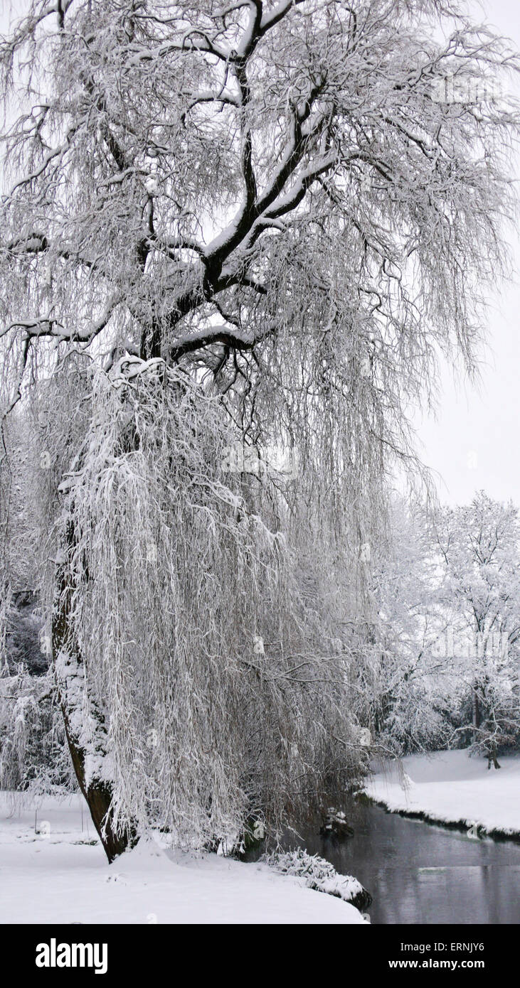 snowy scene in the english countryside Stock Photo - Alamy
