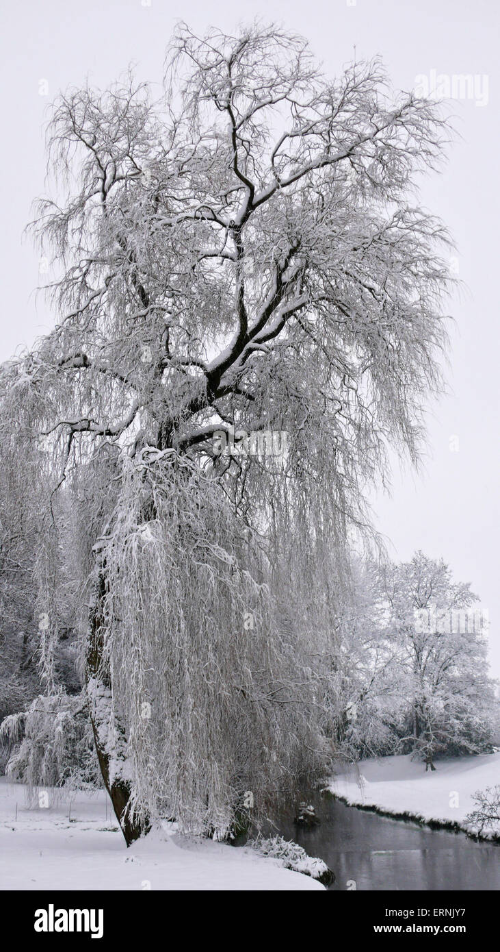 snowy scene in the english countryside Stock Photo - Alamy