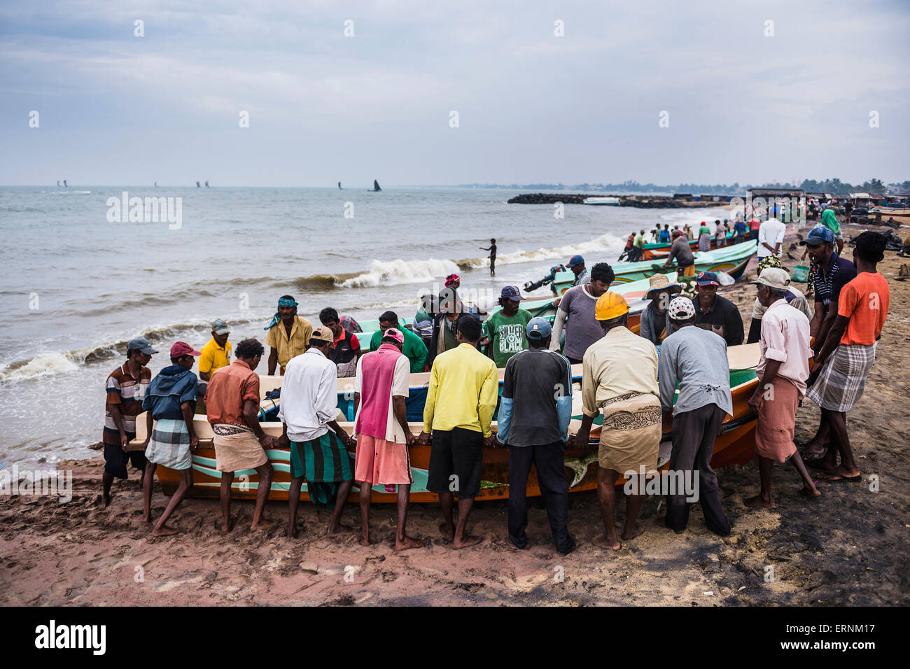 Fishermen bringing in their fishing boats in Negombo fish market ...