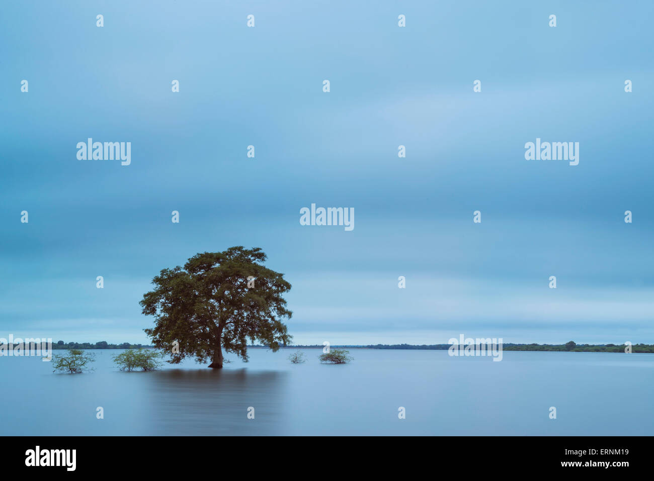 Tabbowa Wewa, a bird watching destination near Puttalam, North Central ...