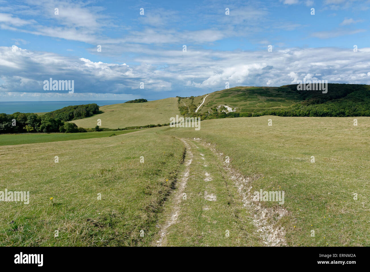 Tennyson Trail, Mottistone Down, Isle of Wight, England, UK, GB Stock ...
